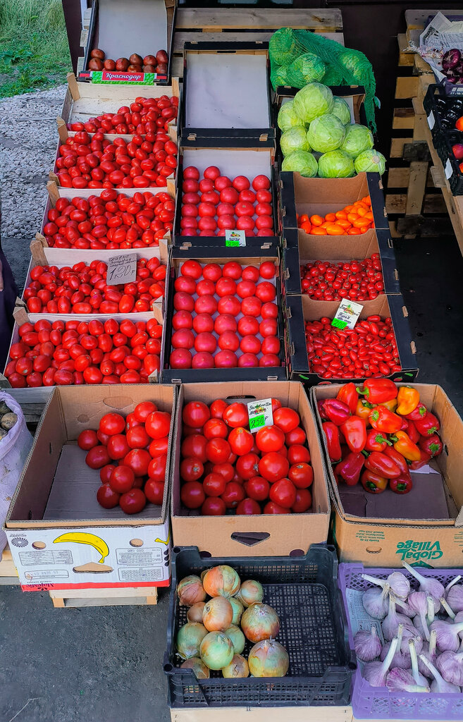 Manavlar Овощи фрукты, Moskova ve Moskovskaya oblastı, foto
