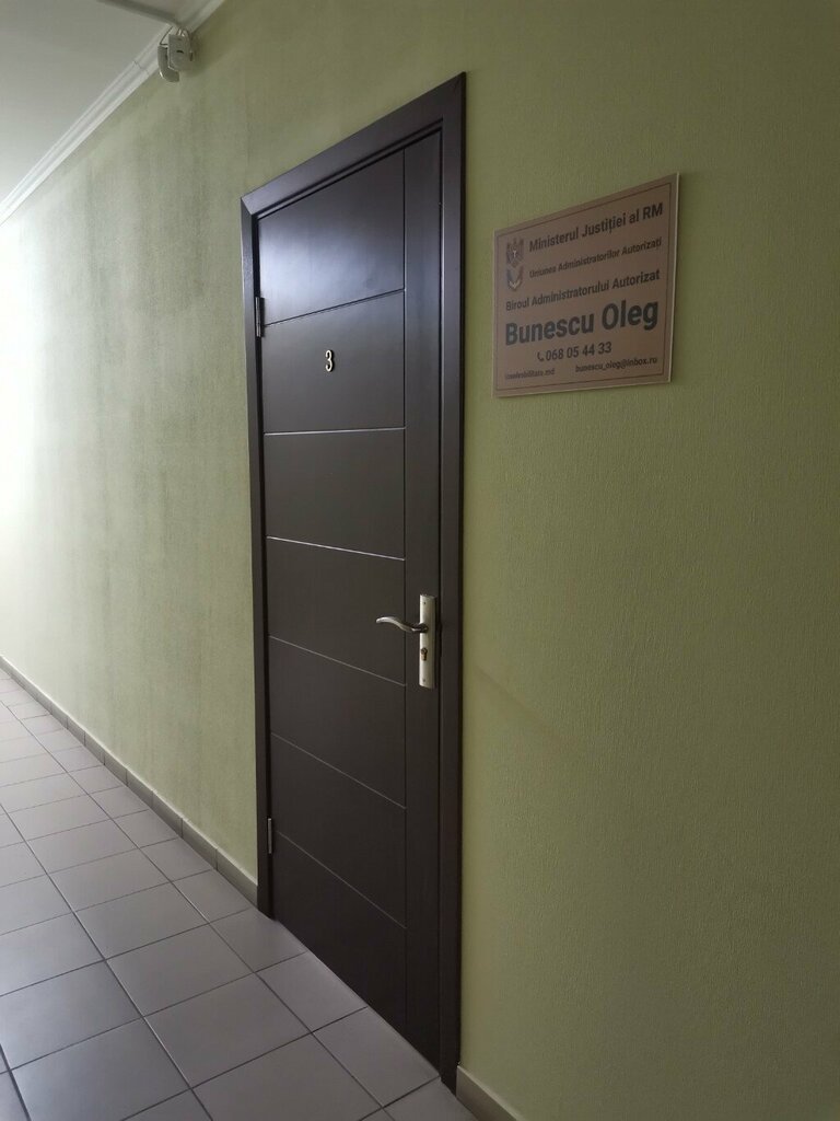 Hukuk büroları Biroul Administrator Autorizat Bunescu Oleg, Kişinev, foto