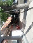 Магазин продуктов (ulitsa Makhmudkhana Numanzhanova No:4/1), market  Osh'tan