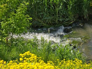 Waterfall (Moscow Region, Mytishi Urban District, Sukromka River), şelale  Mytişçi'den