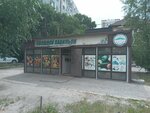 Arsen (Almaty, Aqsaı-4 shaǵyn aýdany), manavlar  Almatı'dan