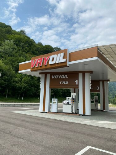Benzin istasyonu Vayoil, Çeçen Cumhuriyeti, foto