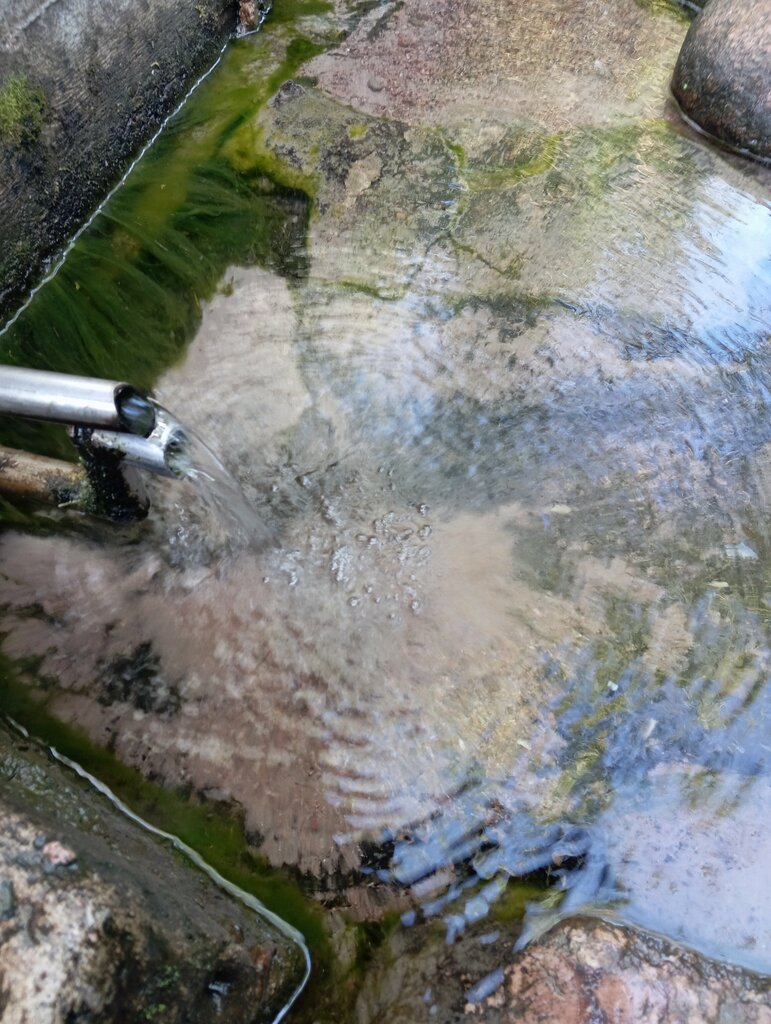 Pınar, çay Spring, stream, Saint‑Petersburg ve Leningradskaya oblastı, foto