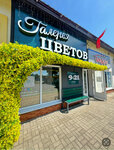 Галерея цветов (Minskaja vulica No:108Б), çiçekçiler  Bobruisk'ten