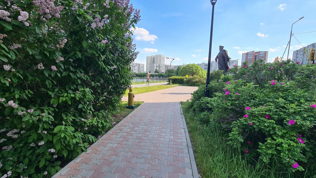 Anıt, heykel Памятник Федюнинскому И. И., Tiumen, foto