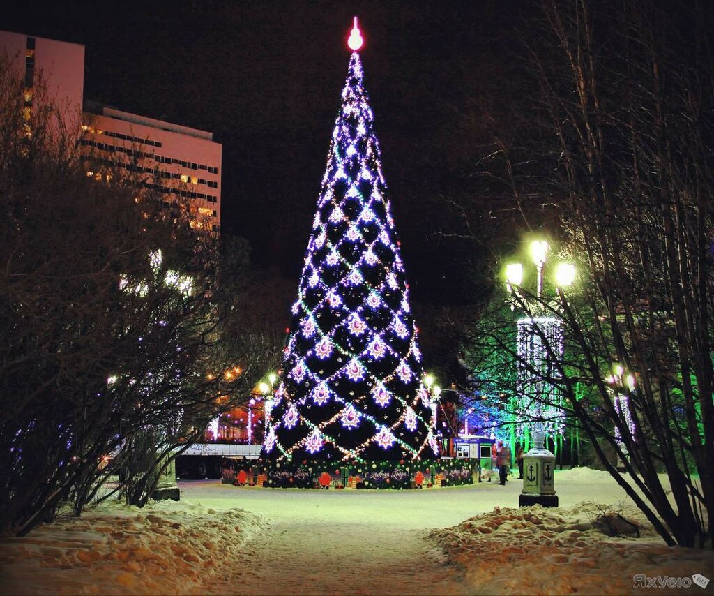 Yapay çam ağaçları ve süsleri Elki-opt.ru, Moskova, foto