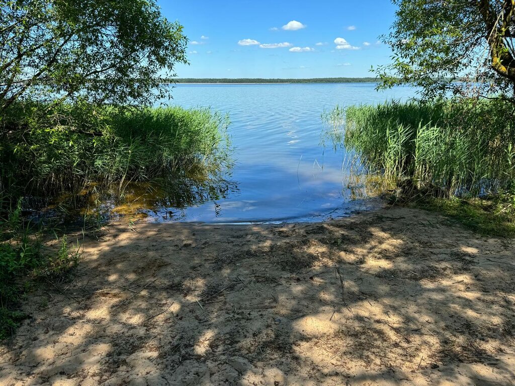 Kamp alanları Площадка Солнечная, Minskaya oblastı, foto