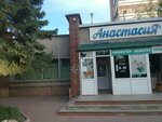 Anastasia (Protozanov kóshesi No:107А), mini-market  Öskemen'den (Ust‑Kamenogorsk'tan)