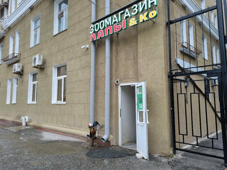 Petshop Лапы и Ко, Perm, foto