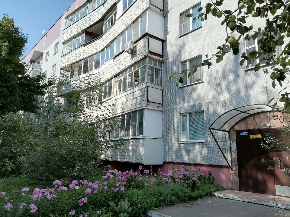 Pet otel Zoogostinitsa, Vologda, foto