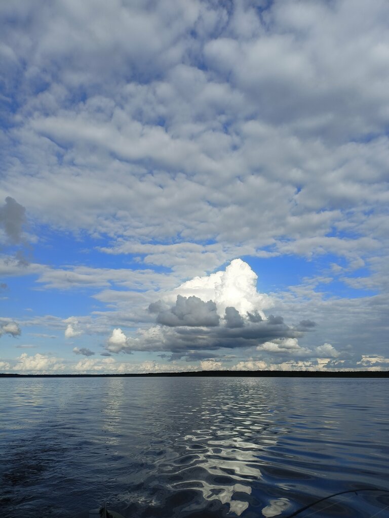 i̇skele Талицы, Vologodskaya oblastı, foto