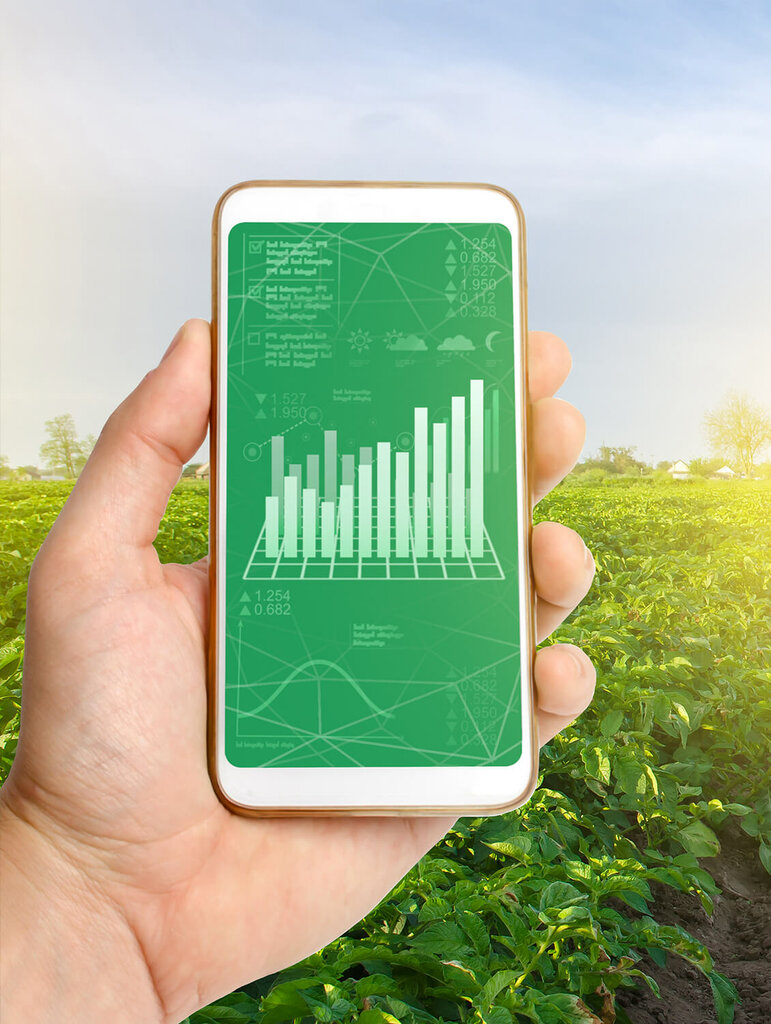 Hukuk büroları Probim Teknoloji, İstanbul, foto