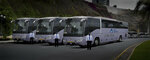 Transportes Anita (Distrital Lima, Jirón Montevideo, 553), kargo firmaları  Lima Bölgesi'nden