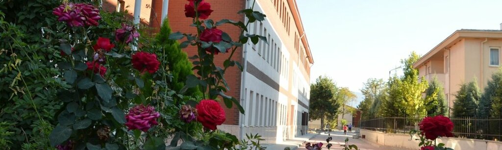 Meslek yüksekokulu Abant İzzet Baysal Üniversitesi Bolu Meslek Yüksekokulu A Blok, Bolu, foto