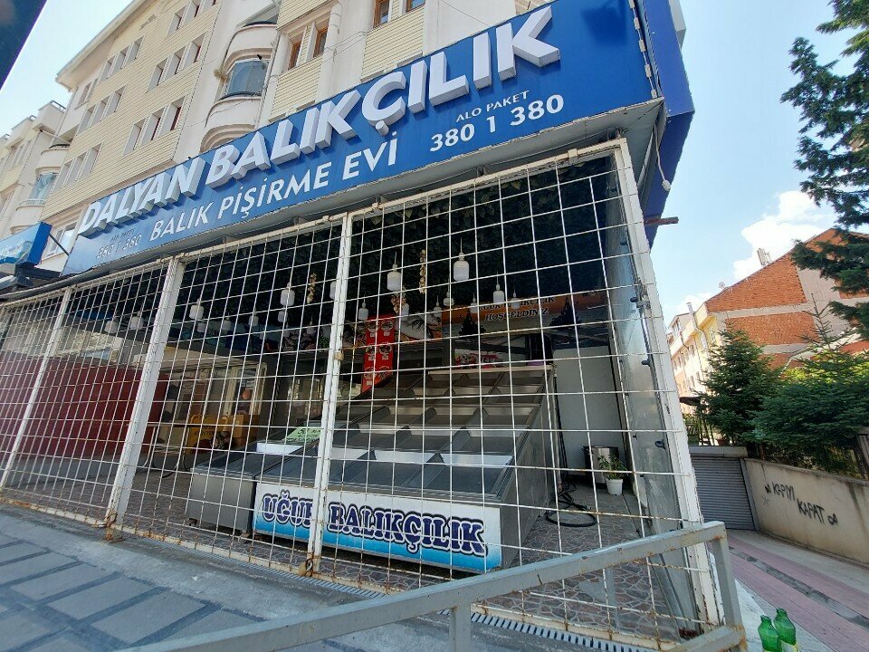 Balık ve deniz ürünleri Uğur Balıkçılık Balık Pişirme Evi, Ankara, foto