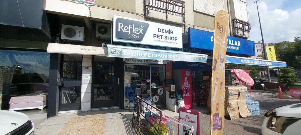 Petshop Demı̇r Petshop, İstanbul, foto