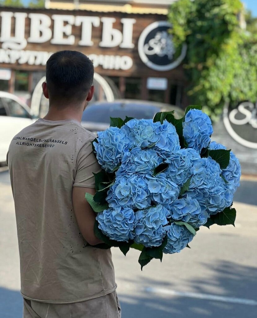 Çiçekçiler Eva, Krasnodarski krayı, foto