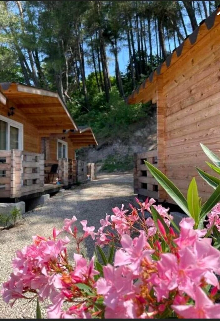 Resort oteller, tesisler Райский угол ‍, Gagra Bölgesi, foto