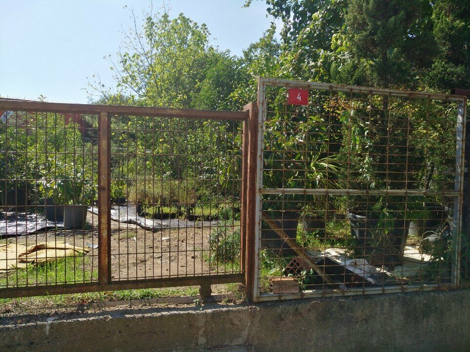 Danışmanlık hizmetleri Egitimse Organizasyon Danışmanlık Hizmetleri, İstanbul, foto