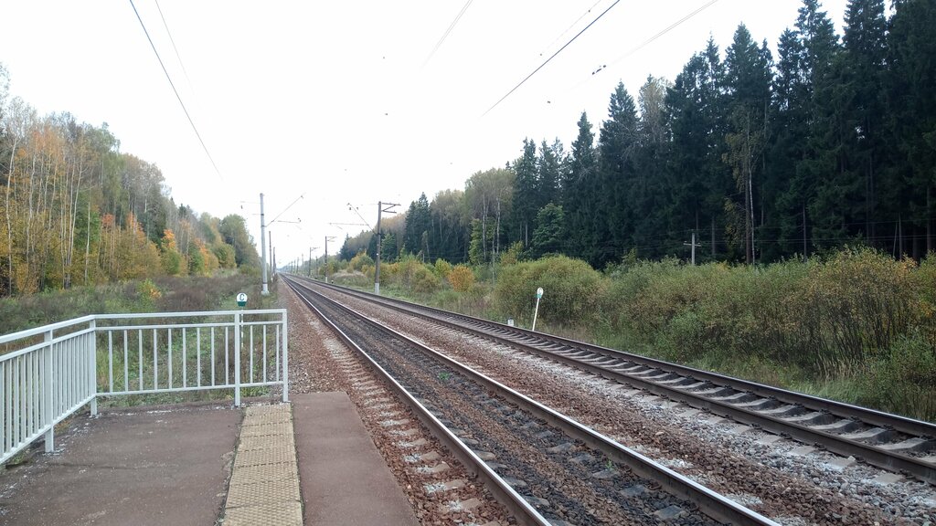 Tren istasyonu 250 km, Moskova, foto