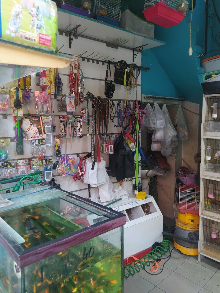 Petshop İlke Akvaryum, İstanbul, foto