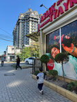 Улица Михаила Фрунзе (Bishkek, Molodaya Gvardiya boulevard), toplu taşıma durağı  Bişkek'ten