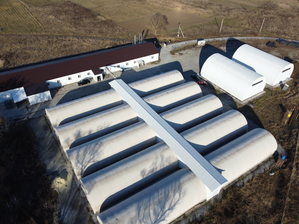 Mantar yetiştirme ve satış Грибная ферма Сорокино, Belgorodskaya oblastı, foto