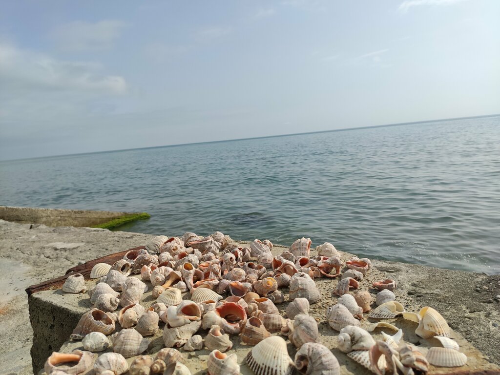 Otel Druzhba, Soçi, foto