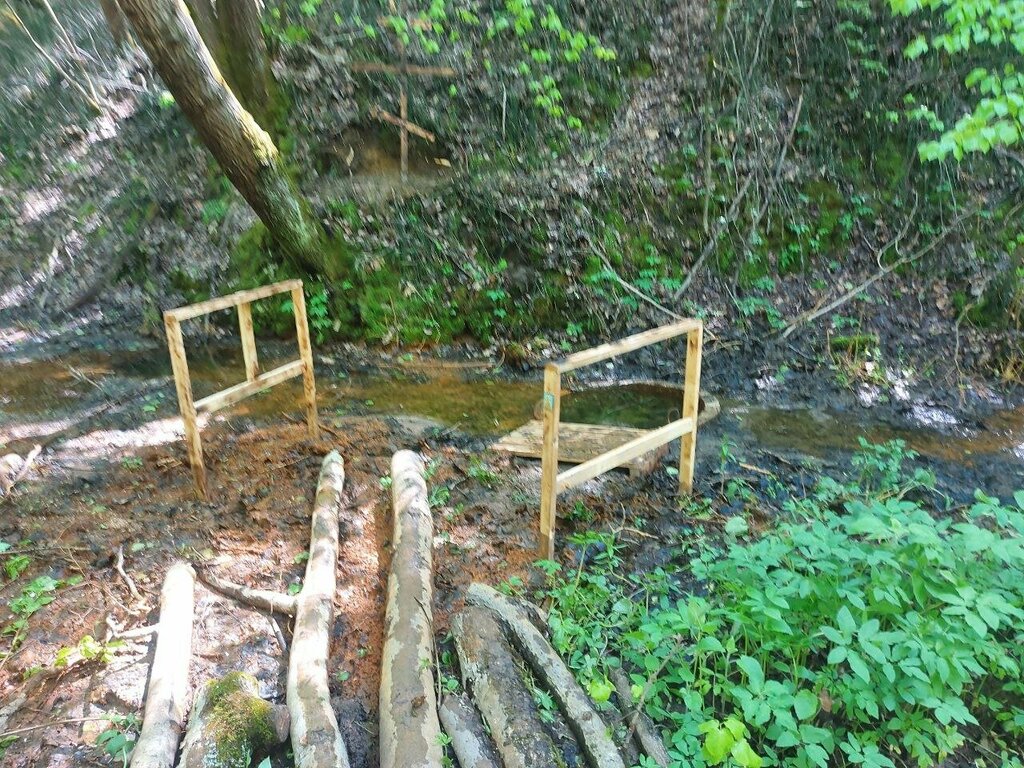 Pınar, çay Святой источник Прощенный Колодезь, Riazanskaya oblastı, foto