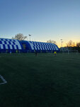 Dinamo (Sportivnaya Street No:8АГ), çok amaçlı spor tesisleri  Saint‑Petersburg'dan