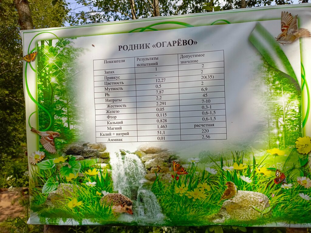 Pınar, çay Spring, stream, Vologodskaya oblastı, foto