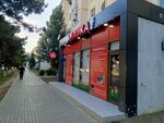 Nauka (Cəlil Məmmədquluzaadə küçəsi No:26), eğitim merkezleri  Sumgayıt'tan