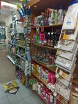 EconomStroy (Oranzhereynaya Street No:39), yapı mağazası  Puşkin'den