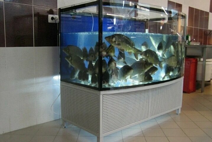 Balık ve deniz ürünleri Рыба и морепродукты, Staraya Kupavna, foto