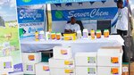 Serverchem Agro-Vet Supplies (Freedom Way No:727), petshop  Lusaka'dan