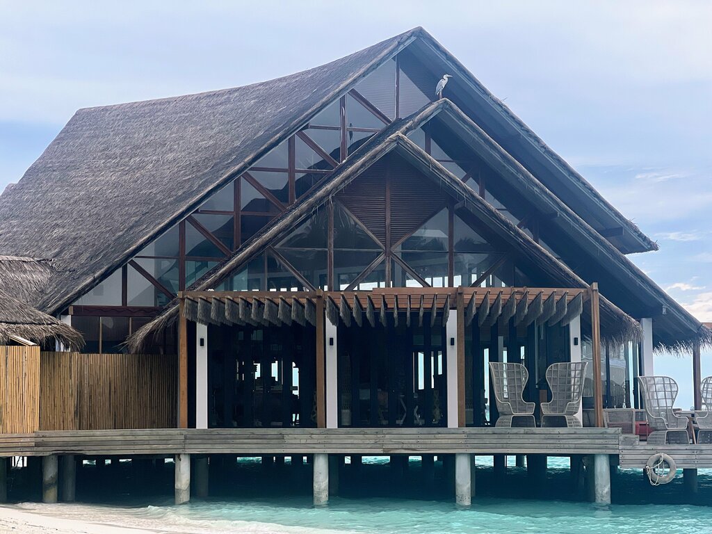 Restoran Sea fire salt, , foto