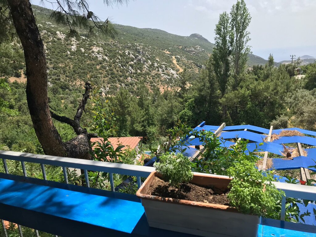 Restoran Zeytin Dalı Restaurant, Kaş, foto