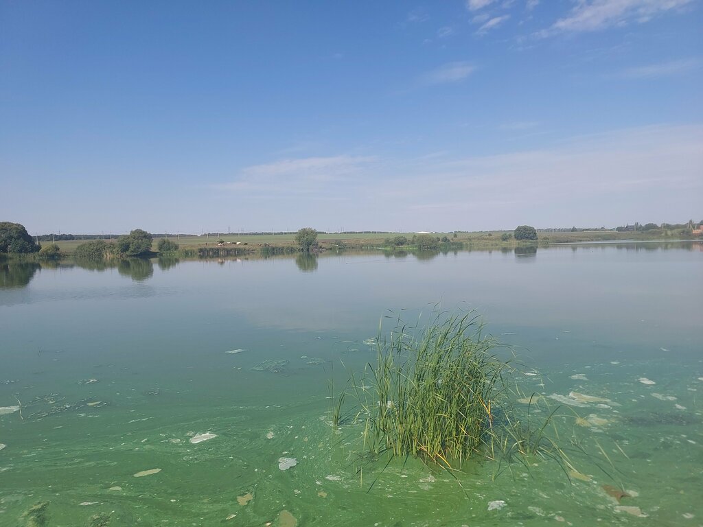 Plaj Пляж, Penzenskaya oblastı, foto