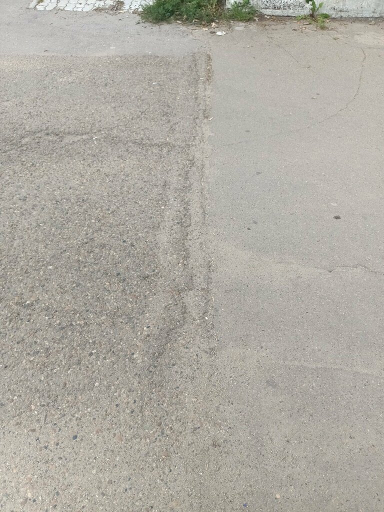 Evcil hayvan kuaförleri Квэстра, Blagoveshchensk, foto