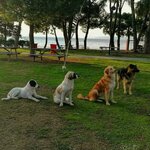 Kepez Belediyesi (Çanakkale, Çanakkale Merkez , Kepez Beldesi, Cumhuriyet Mah., Sahil Yolu Cad., 2/1B), belediyeler, devlet daireleri  Çanakkale'den