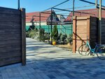 Elki (Borodin Street No:43), sera ve bahçe ürünleri  Kostanay'dan