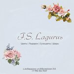 F. S. Lagurus (Yubileynaya ulitsa No:2/5, selo Akberdino), çiçekçiler  Başkurdistan'dan