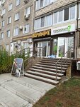 Крафт (ulitsa Yuriya Gagarina No:19), bira dükkanı  Ufa'dan