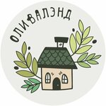 Oliva Land (Navavilienskaja Street No:49), oyun odası  Minsk'ten