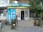 Living Nature (No:58, 4-shi shaǵyn aýdan), petshop  Aktav'dan