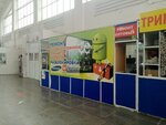 Ремонт Покупка (ulitsa 20-go Partsyezda No:35, mikrorayon Gorodok Neftyanikov), bilgisayar teknik servisleri  Omsk'tan