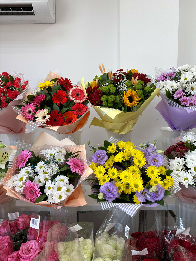 Çiçekçiler Cvety City, Stavropolski krayı, foto