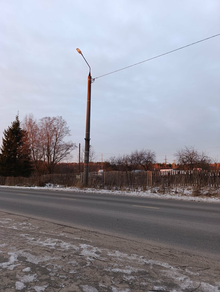 Orman işleri ОГКУ Кинешемское Лесничество, Kineşma, foto