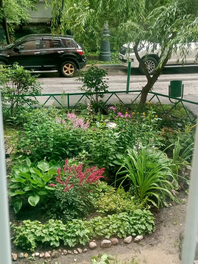 Bank Bench, Moskova, foto