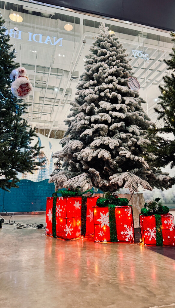 Çam ağacı pazarı Elki Tut, Moskova, foto